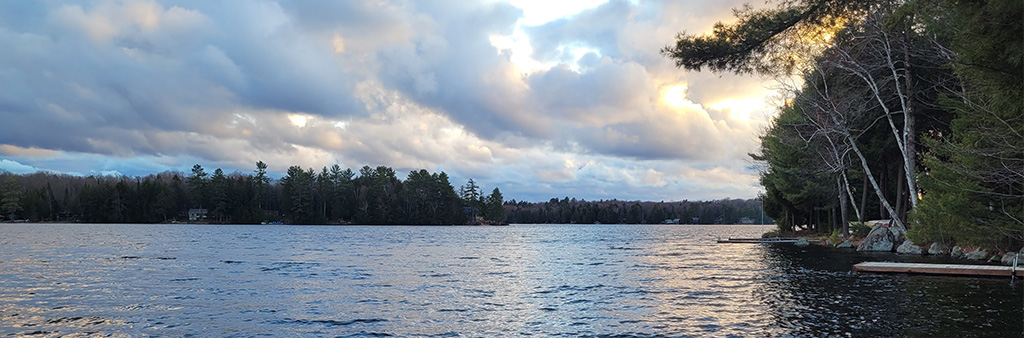 Shoreline Naturalization – Leech Lake Cottagers' Association
